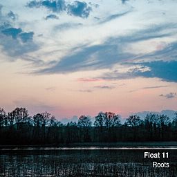 Roots - Float 11