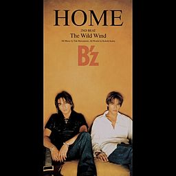 The Wild Wind - B'z