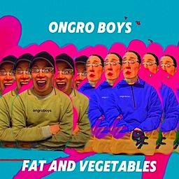 FAT AND VEGETABLES - ongro boys