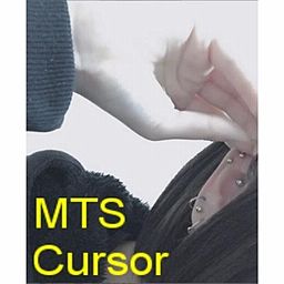 MTS Cursor - MTS
