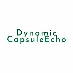 Dynamic Capsule Echo