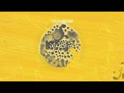 Colourblind (Lyric Video) - Ed Sheeran